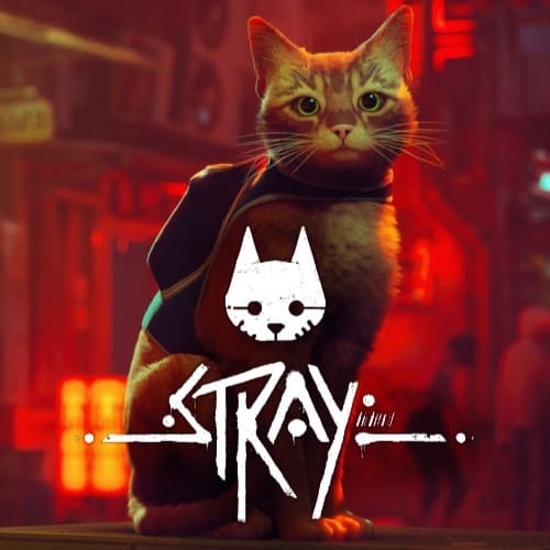 Stray llega a la Switch este año – Los precios de llaves más baratos ...