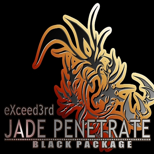Comprar eXceed 3rd Jade Penetrate Black Package CD Key Comparar Precios ...