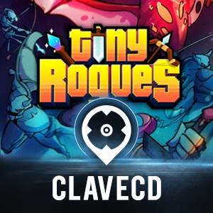 Comprar Tiny Rogues CD Key Comparar Precios