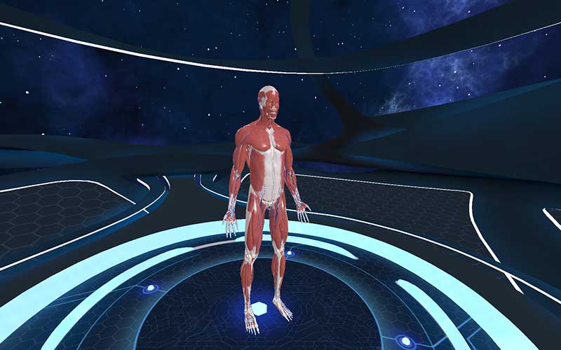 Comprar Human Anatomy VR Ps4 Barato Comparar Precios