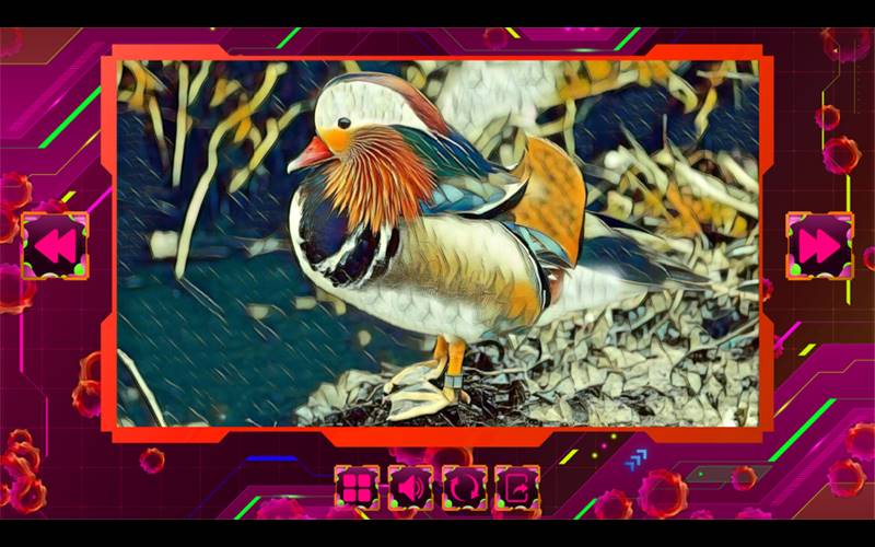 Comprar Twizzle Puzzle Birds CD Key Comparar Precios